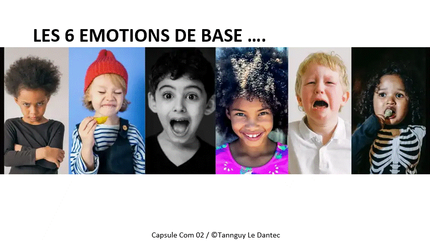 LES 6 EMOTIONS DE BASE - Tannguy Le Dantec